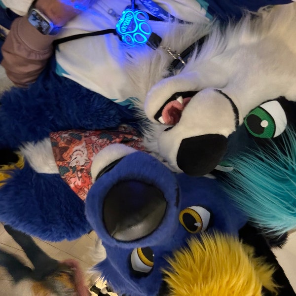 Human Pup Necklace - Light up Dog Tag - Color Changing - Stocking ...