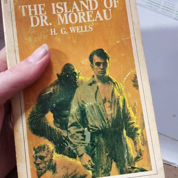 Hawthorne Ruth Wolff Gothic Horror 1969 1960s Vintage Mass Market ...