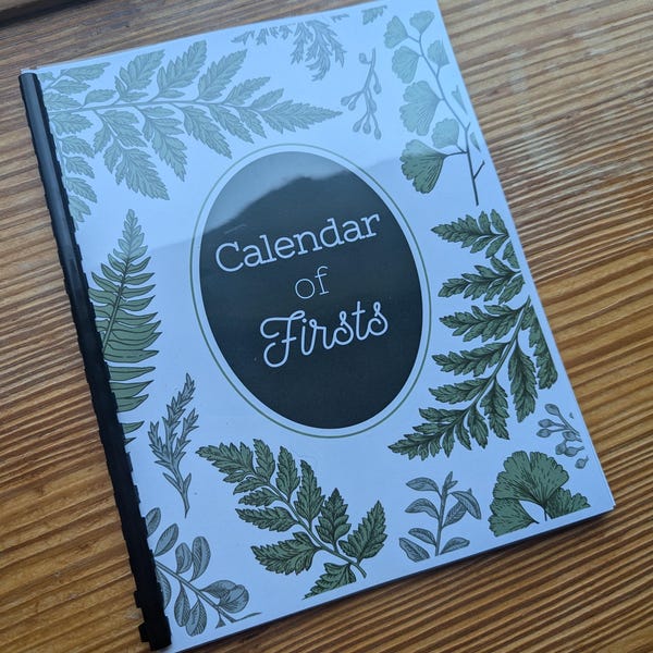 Boho Houseplant Meet the Teacher Letter Template - Potted Plant ...