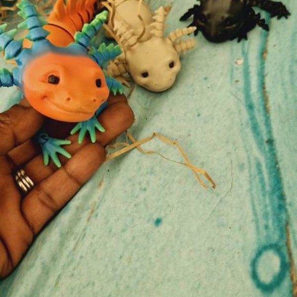 3dprinted Articulated Adorable Axolotl | Sensory Stress Fidget | as ...
