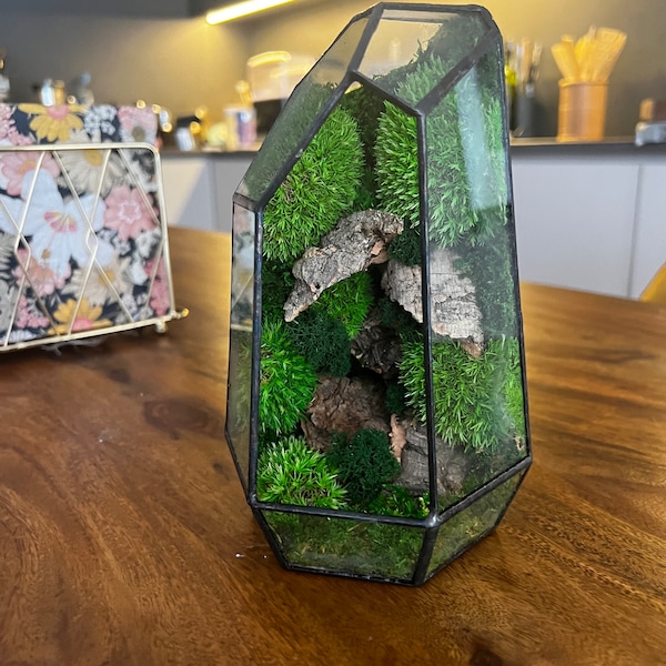 Geometric Terrarium | Prism | Desktop Mossarium Centrepiece | Preserved ...