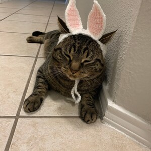 Bunny Rabbit Ear Hat for Cats | Etsy