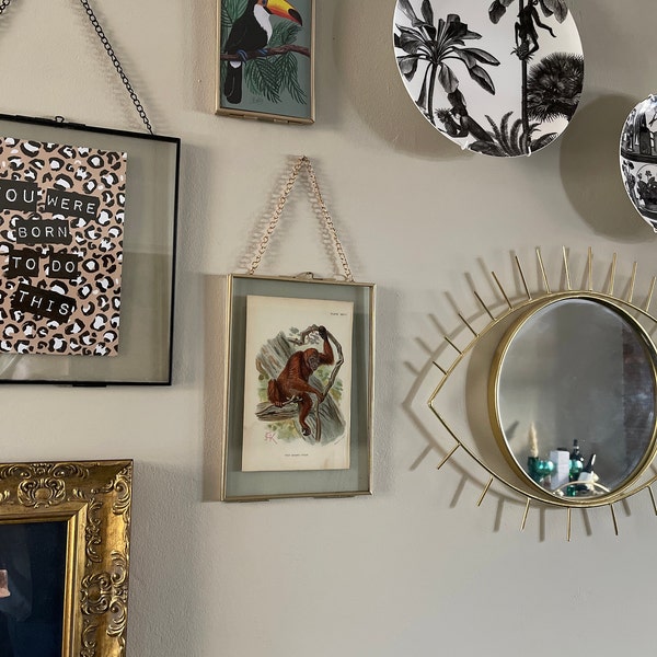 Antique French Print, Fourrures From 1922 ,french Vintage Animal Print ...