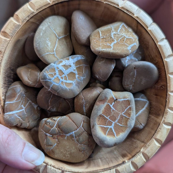 1 Pound Lightning Stones From Lake Michigan, Great Lakes, Rocks ...