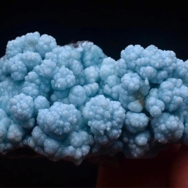 Beautiful Natural White Coral Crystal Cluster Stone Mineral Specimen ...