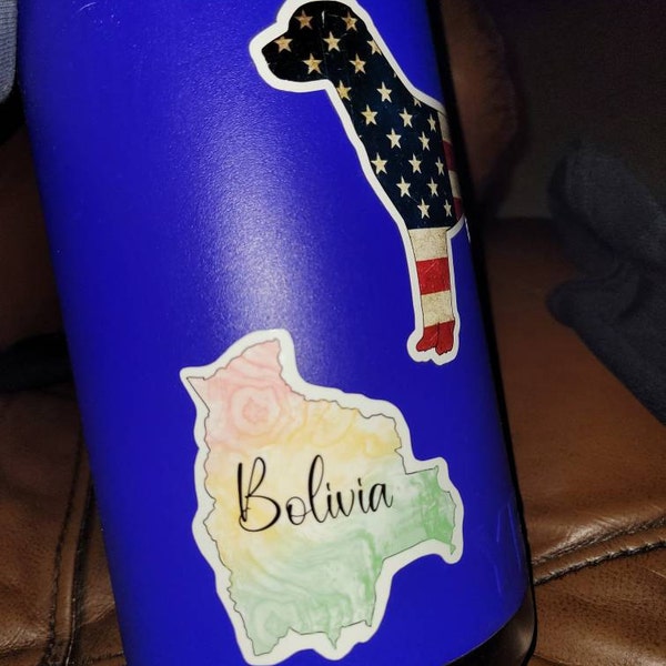 Bolivia Sticker Pack of 5 | Salteñas | Bolivian |south America - Etsy