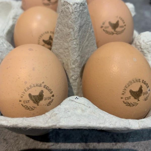 Mini Egg Stamp | Homesteading | Farm Stamp | Egg Marking | Egg Stamper ...