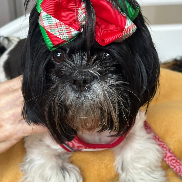 Pigtail Bows for Shih Tzu, Shorkie, Westie, Yorkie, Maltese, Shorkie ...