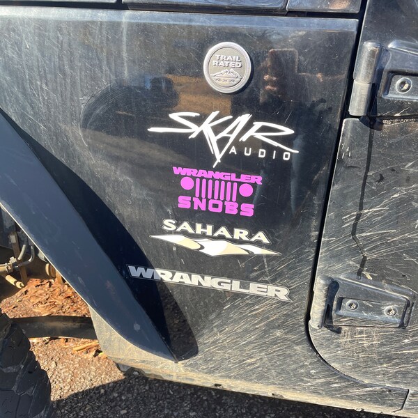 CT Sounds Car Audio Logo (2) Vinyl Decals - Free Upgraded Shipping and ...