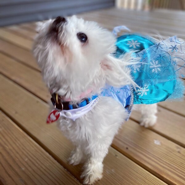 Frozen - Elsa - Dog Costume / Cat Costume - Blue Dress - Winter Dress ...