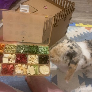 Fruit and Veggie Nibbles Natural Freeze-dried Healthy Rabbit Treats ...