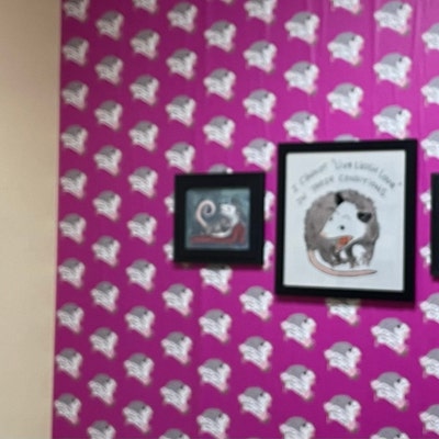 Sticker: Vintage Rainbow Possum Opossum Planner Craft Vinyl - Etsy