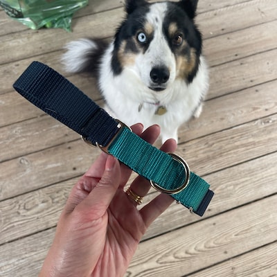Solid Nylon Martingale Dog Collar Limited Slip Collar 24 Color Choices ...