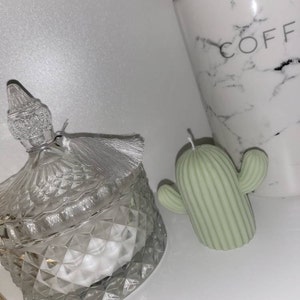 Cacti and Succulents Terrarium Candle Unique Candle Handmade Soy Wax ...