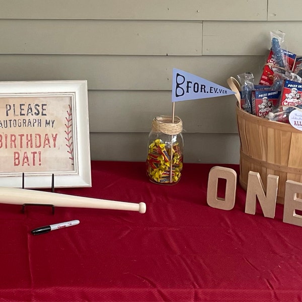 PARKER Please Autograph My Birthday Ball, Sandlot Birthday Party Sign ...