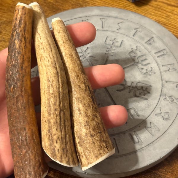 NEW Natural Shed Real Deer Antler Knobs / Pulls Cabinet Dresser Hardware (1 EA) **oregon Antler ...