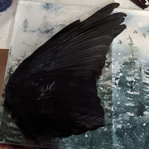 Genuine Crow Wing Smudging Fan - Etsy UK