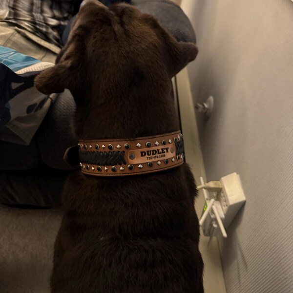 Blazingpaws Mariner 2 Inch Wide Thick Western Leather Dog Collar for ...