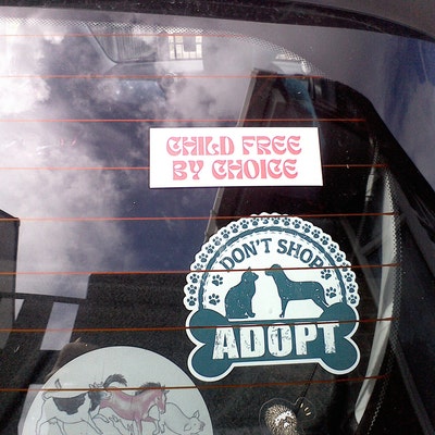 Smash the Cis-tem Sticker LGBTQ Sticker Queer Stickers - Etsy