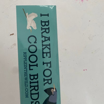 Roseate Spoonbills Bookmark Birding Book Lover Bird Nerd - Etsy