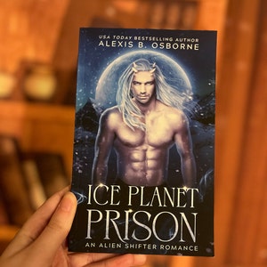 Book Box of Engineering Fate by Alexis B. Osborne - Etsy