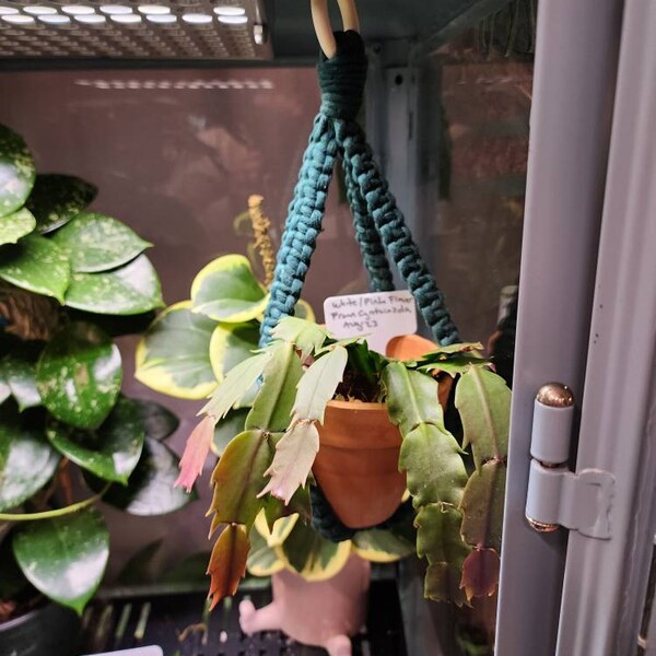 Boho Farmhouse Macrame Mug Rug, Coffee Cup Coaster, Autumn Boho Home ...