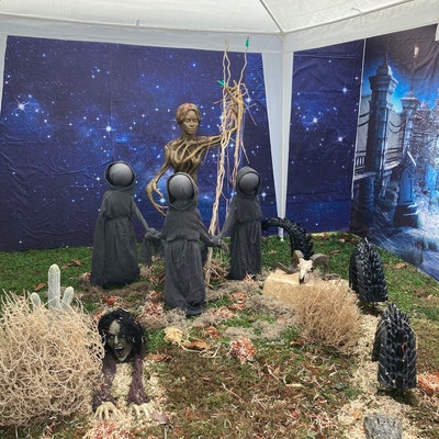 Natural Druzy Crystal Covered Petrified Wood Rare Hollow - Etsy