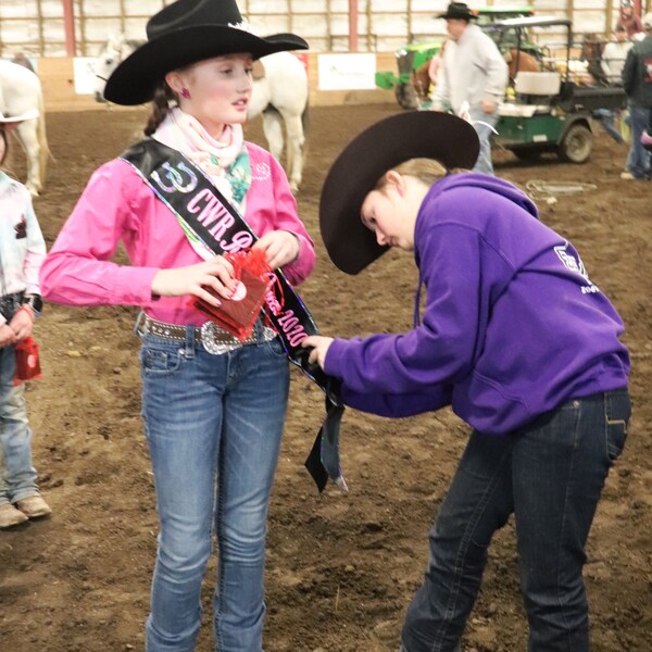 Rodeo Queen Sash, Costume Party Sash, PERSONALIZED SASH, Pageant Sash ...