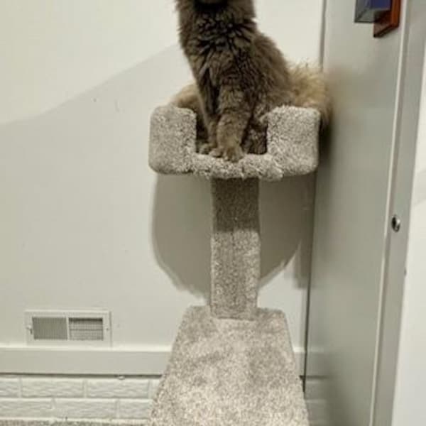 Crows Nest Cat Furniture - Etsy