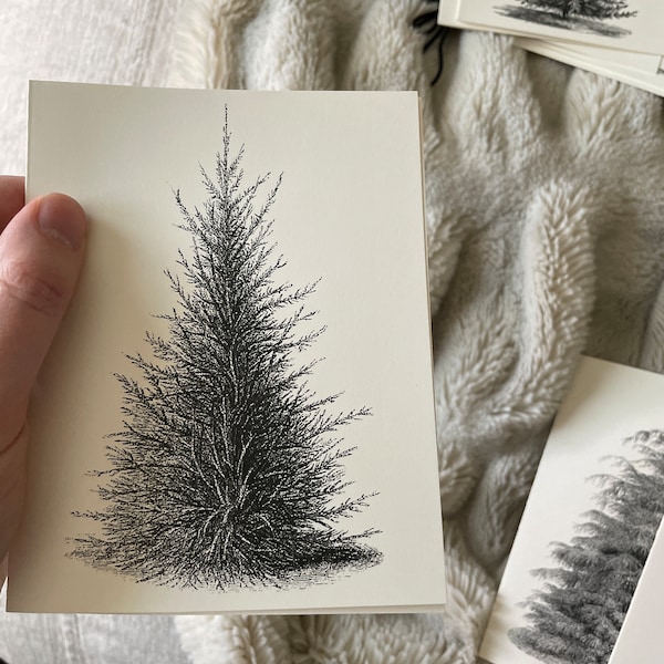 Pine Tree Note Card Set of 10 in White or Light Ivory With Matching ...