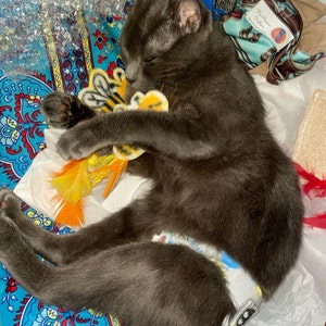 Cannabis Weed Marijuana Joint 420 Kitty Stash Cat Nip Toy 100% - Etsy