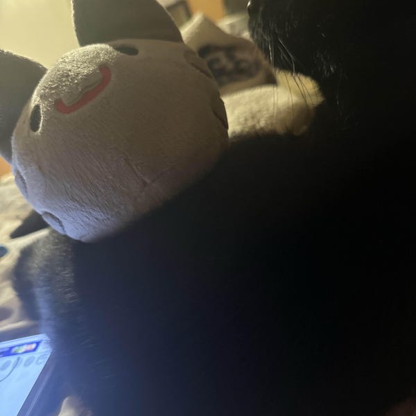 6" Mew and Shiny Mew Plushie Pokemon Inspired Minky Handmade Plush - Etsy