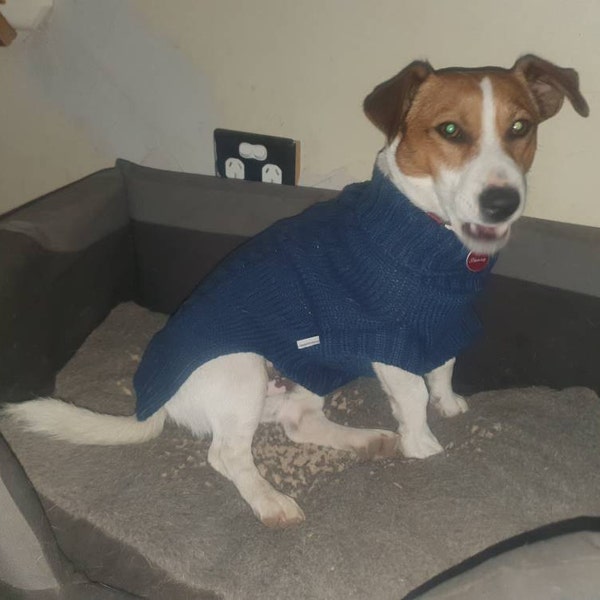 Audrey Dog ID Tag Silver/aqua - Etsy