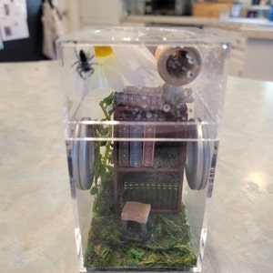 Made-to-order Wizard's Study Jumping Spider - Etsy