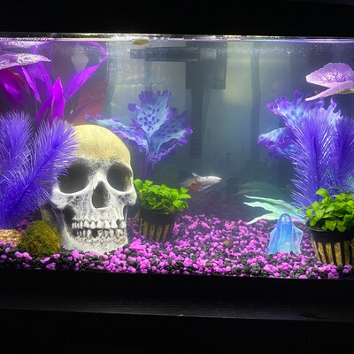 Aquarium Background / Spooky Graveyard With Mist - Etsy