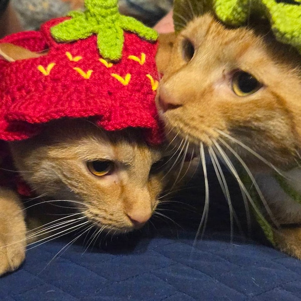 Adjustable Cute Crochet Soft Ribbon Kitten Collar Pet Costume Cat ...