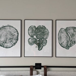 Giant Redwood Tree Ring Art Print Made From a Real Redwood | Etsy