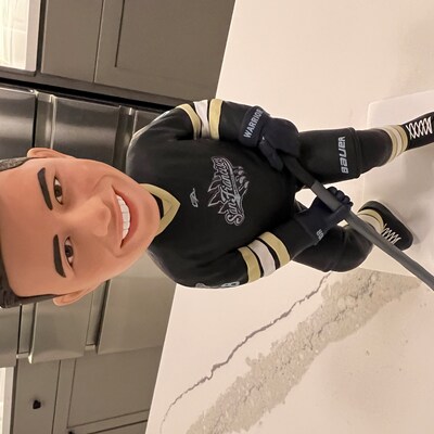 Custom Bubble Head, Create Your Own Bobblehead, Make Your Own ...