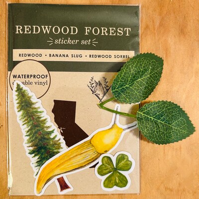 California Native Plants Sticker - Etsy