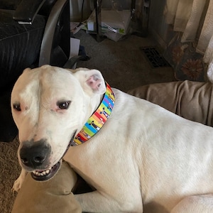 Comfortable, Soft&cosy, Elegant Whippet Martingale Collar. Width 5.5cm ...