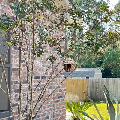 Cute Yoga Monk Statue Buddha Sculpture Novice Monk Ceramic - Etsy