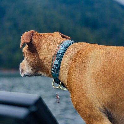 Sage Mountains and Pine Trees Leather Dog Collar Handcrafted and Custom ...