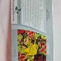 Pansy Seed Mix Pansy Matrix Ocean Breeze Mix 50 Seeds - Etsy