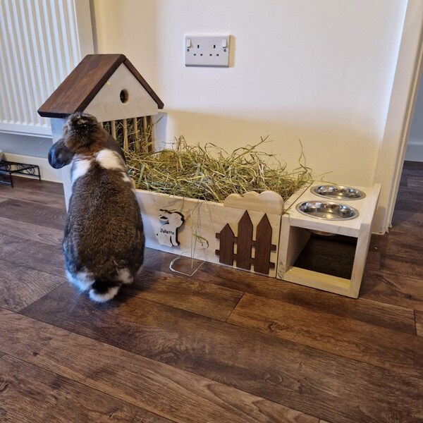 Large Hay Feeder and Litter Box for Giant Flanders Rabbit. Giant Rabbit ...
