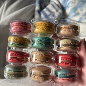 Izzy French Macarons Surprise Me Flavors Assorted Standard - Etsy