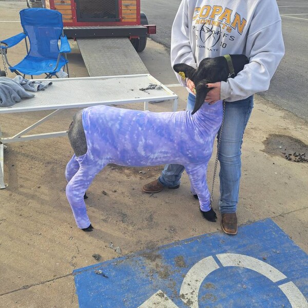 Aztec Western Lamb Leg Tubes - Etsy