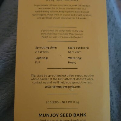 TIDY TIPS Seeds free Shipping Fresh & Organic Layia Platyglossa Seeds ...