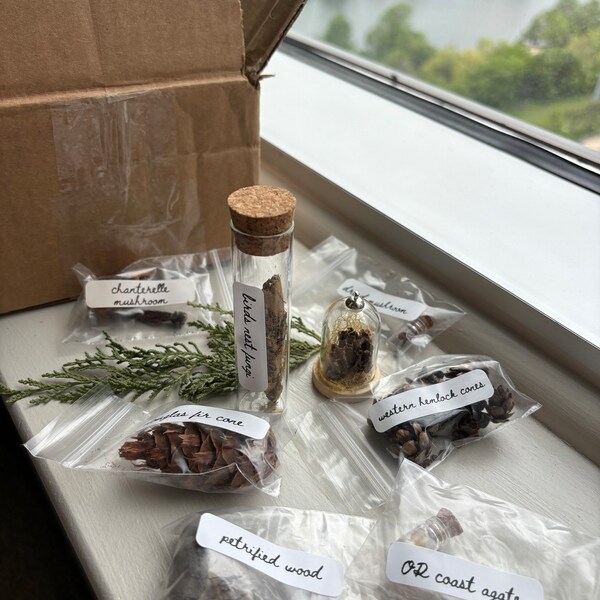 Cedar Smoke Cleansing Wands Wildcrafted Smudge Bundles Housewarming ...