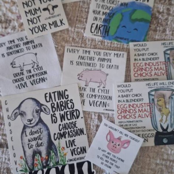 The Angry Vegan Colouring Book and Journal for Adults Vegan Activism ...