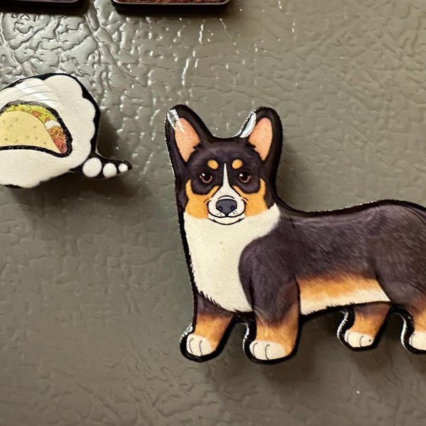 Red Panda Magnet: Gift for Red Panda Lovers Chinese Animal Cute Animal ...